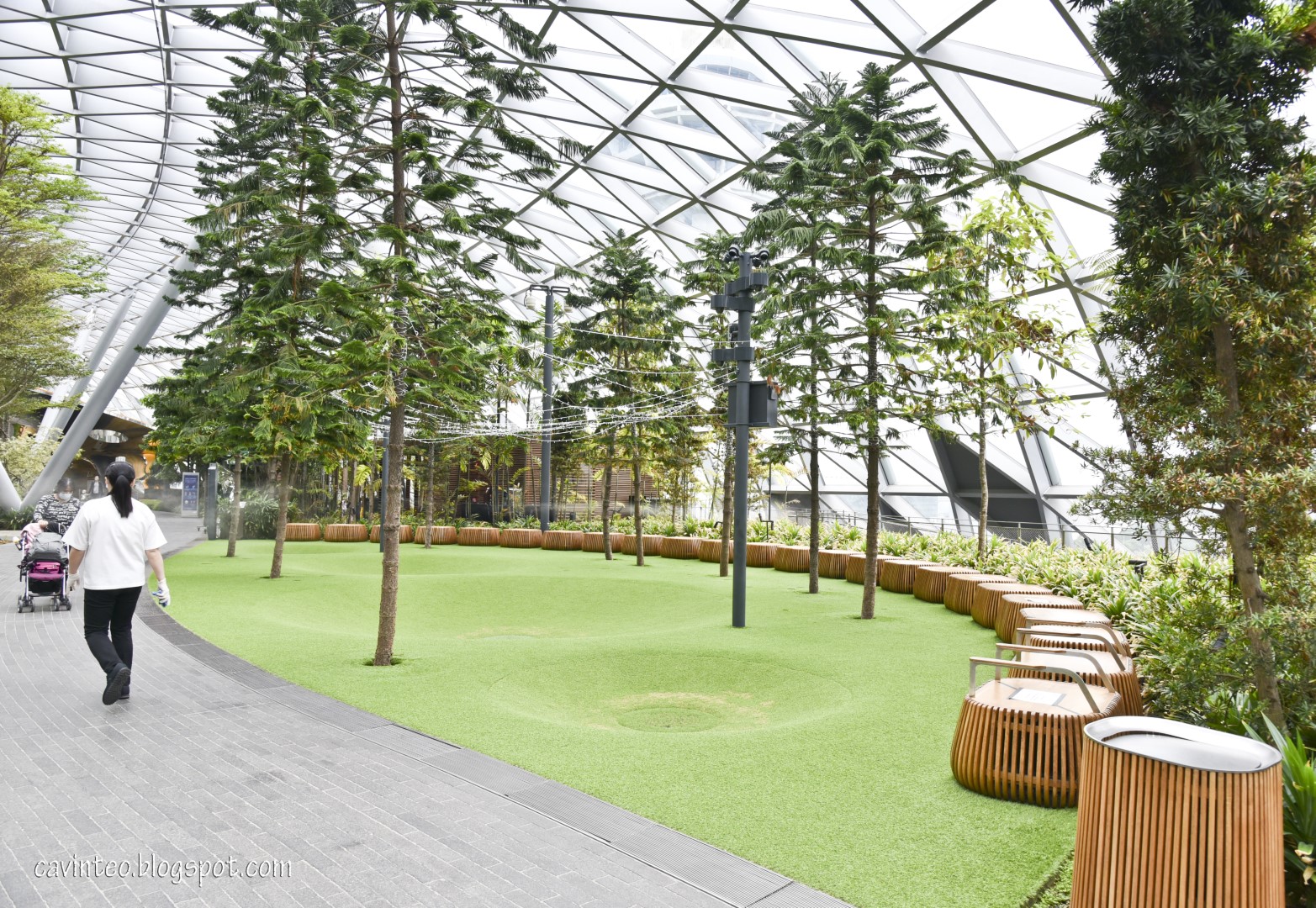 Entree Kibbles: Foggy Bowls in Canopy Park @ Jewel Changi Airport ...