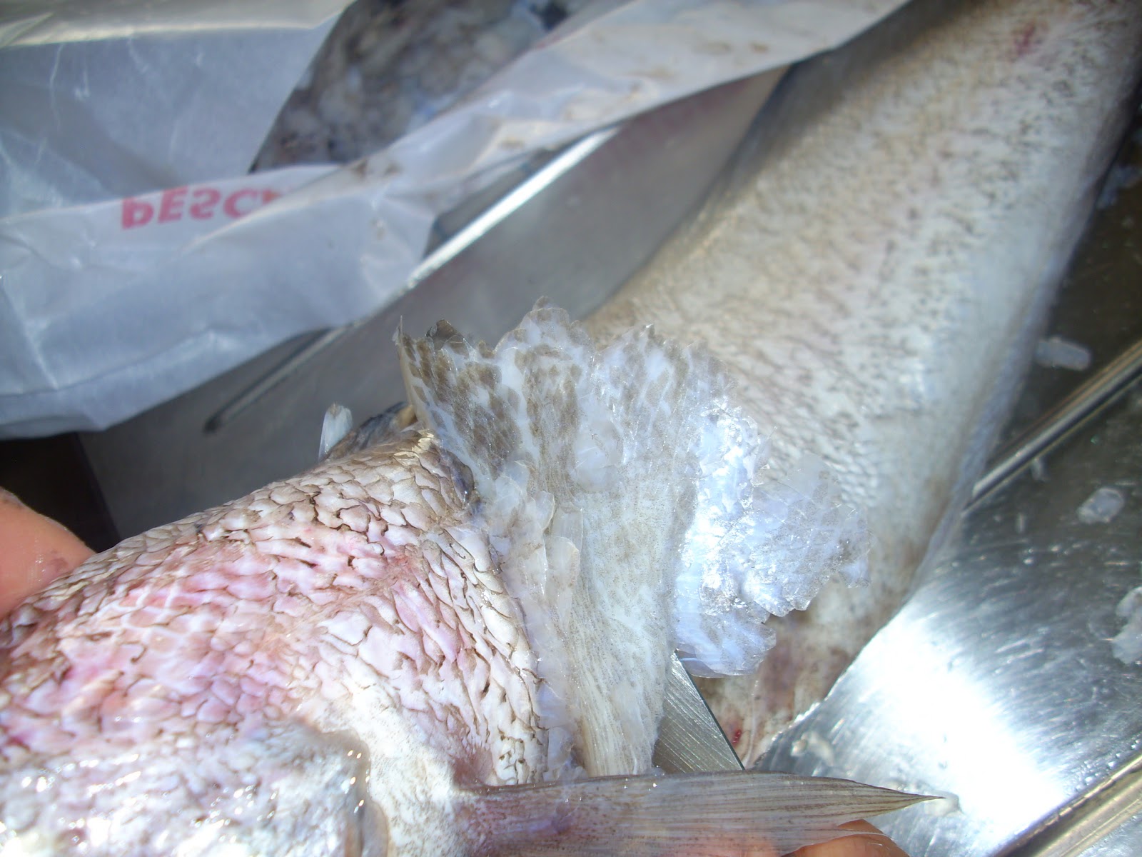 CONSEJOS Y TRUCOS DE COCINA: LOCHA, PESCADO, CURIOSIDADES