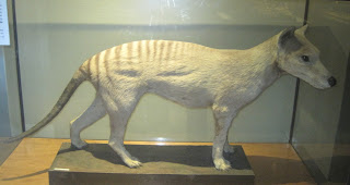 El Pensieve de Dinorider: marzo 2012