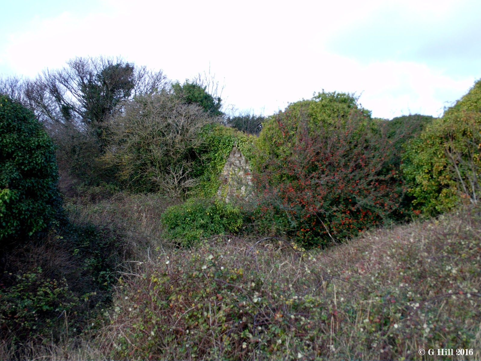 Ireland In Ruins: Ballymount Castle Co Dublin