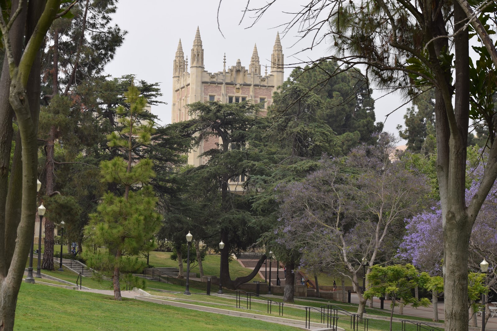 Travel for a Purpose: UCLA Campus around Election Walk Area