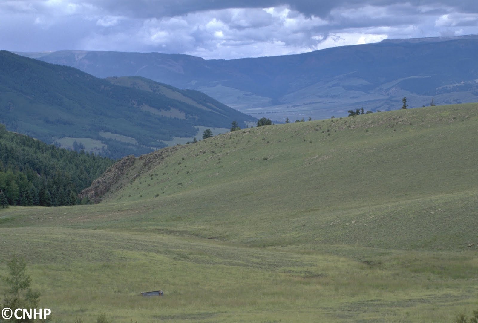 CNHP Blog: Ecological systems: Grasslands