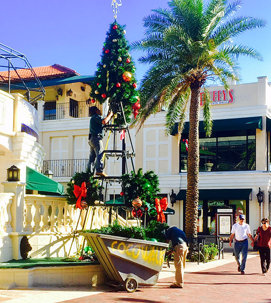 Coconut Grove Grapevine: Goodbye Christmas tree, until next year