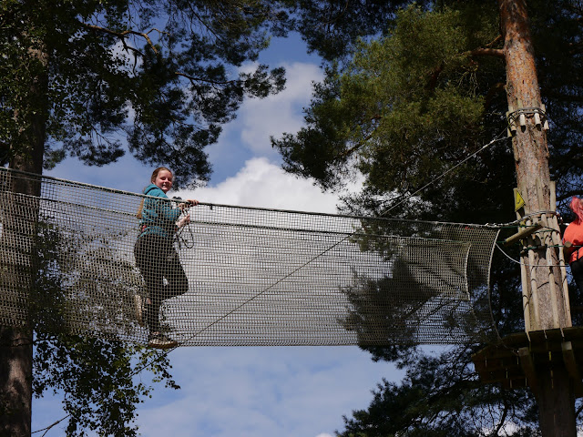 Mummy From The Heart: Go Ape Treetop Challenge in a time of Social ...