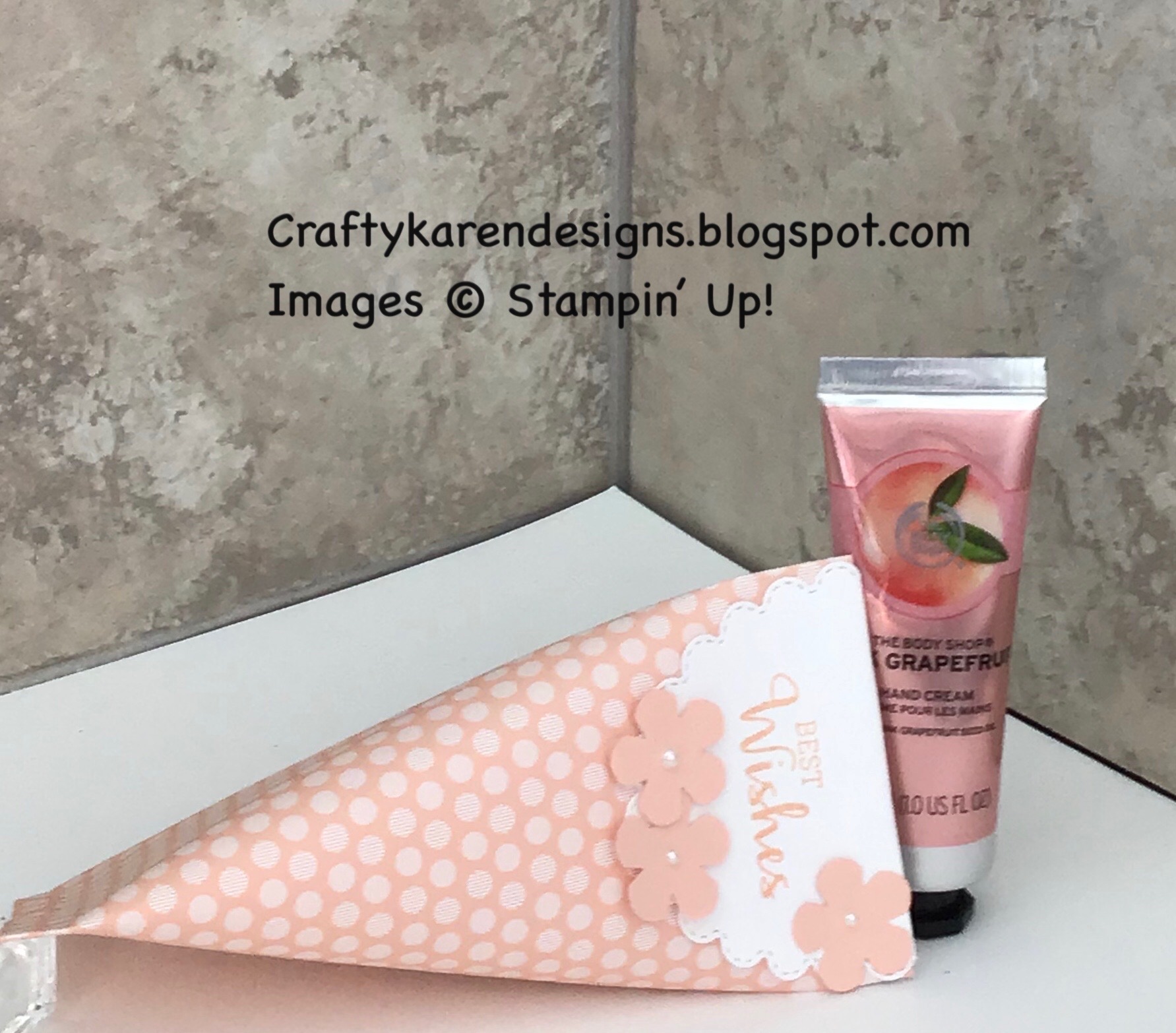 craftykarendesigns: Feels Like Frost Sour Cream Container for Hand ...