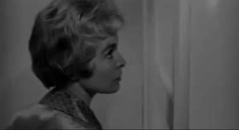 lotts: Famous Shower Scene From Psycho