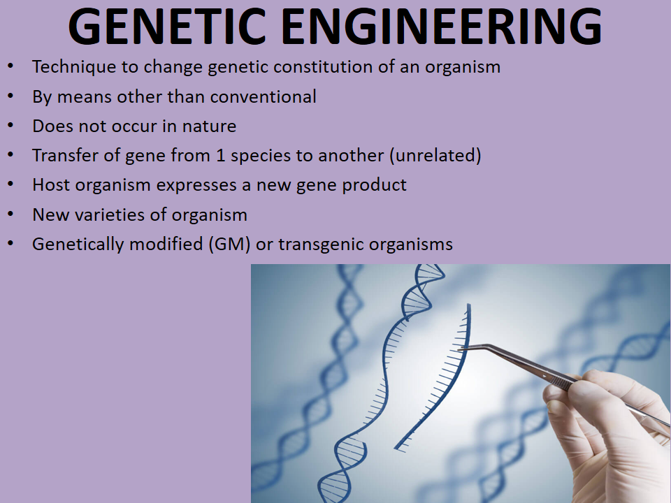 Grade 12: Chapter 3 - GENETIC TECHNOLOGY