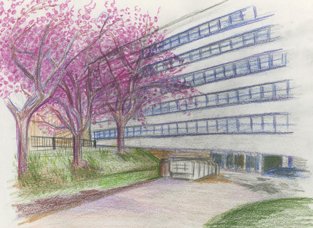 Emma Bates - Observational Drawing 2