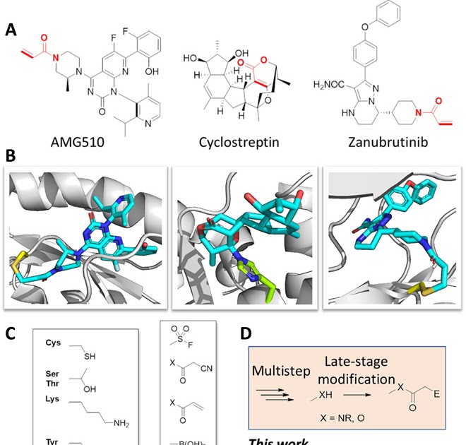 Covalent Modifiers: Multicomponent reaction–derived covalent inhibitor ...