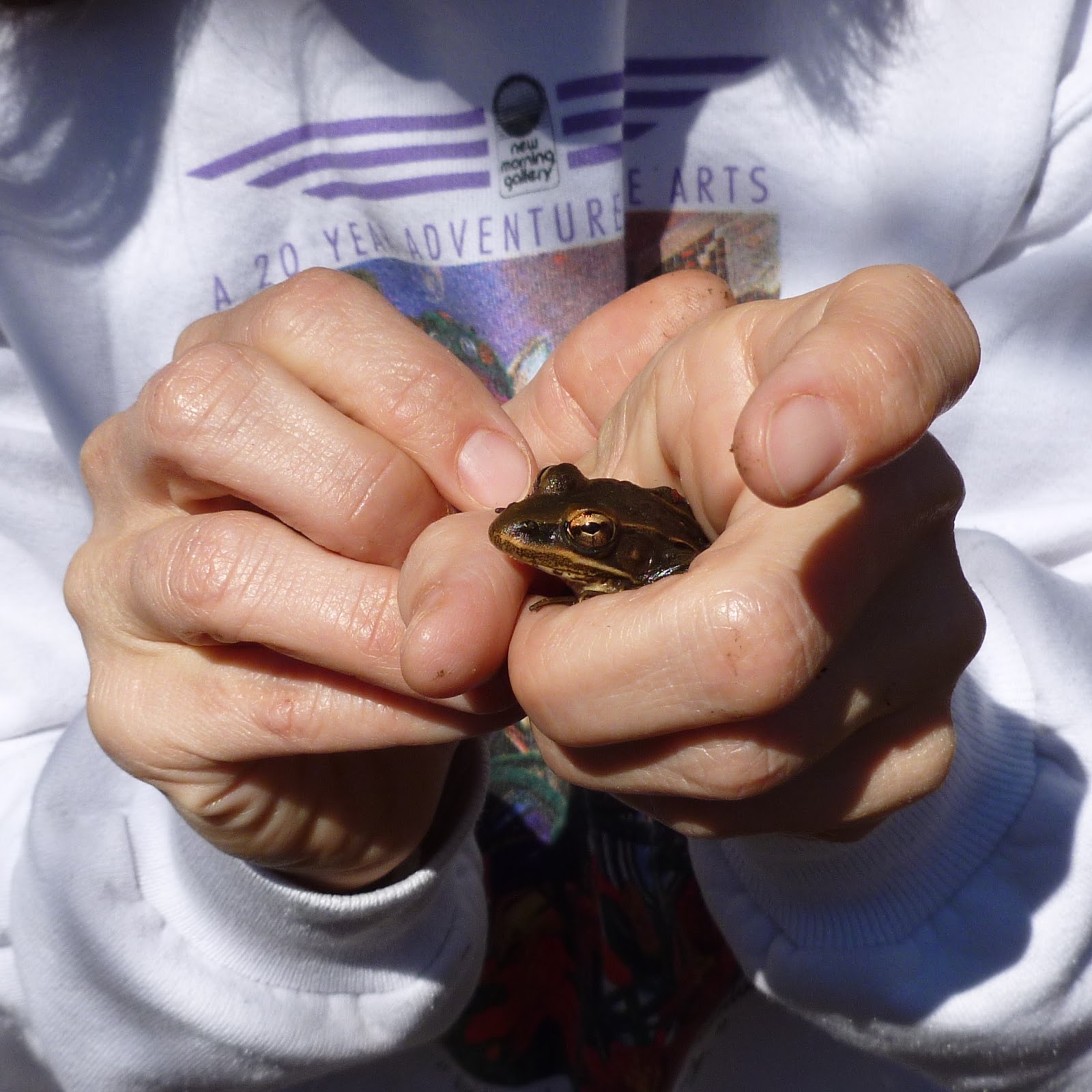 Aut-2B-Home in Carolina: What Happens When You Kiss a Frog?