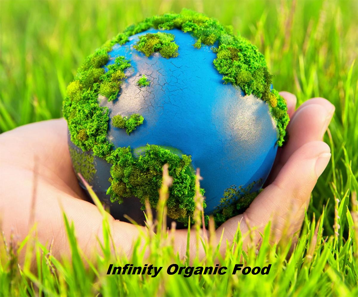 Infinity organic Food (UK): WHAT ARE THE ENVIRONMENTAL BENEFITS OF ...