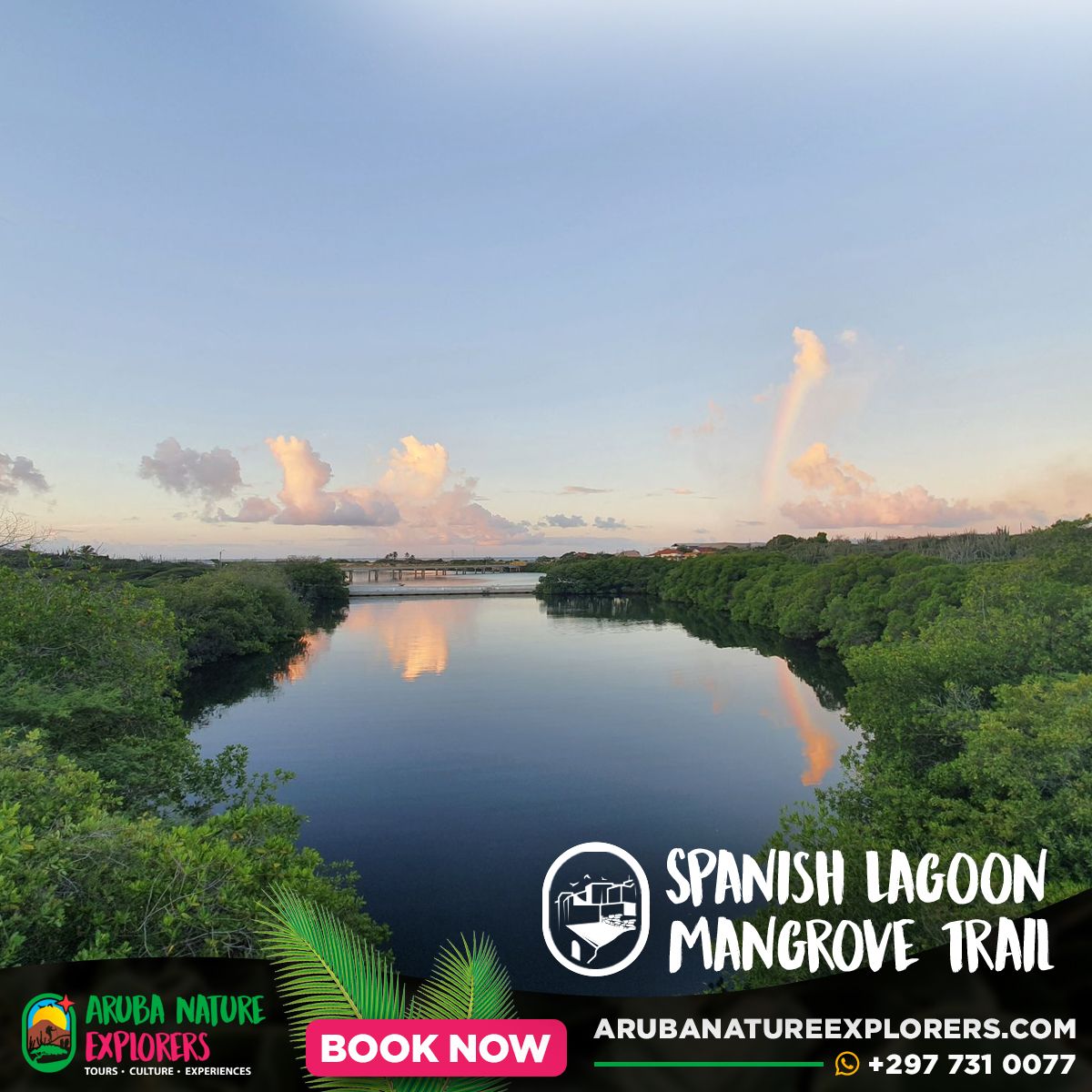 Arubaeco.tours: 5 Reasons For A Nature Hikes Trip To Aruba.