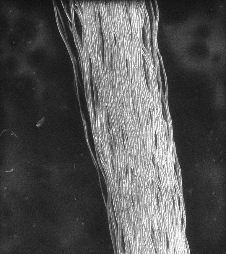 Up Close with Thread