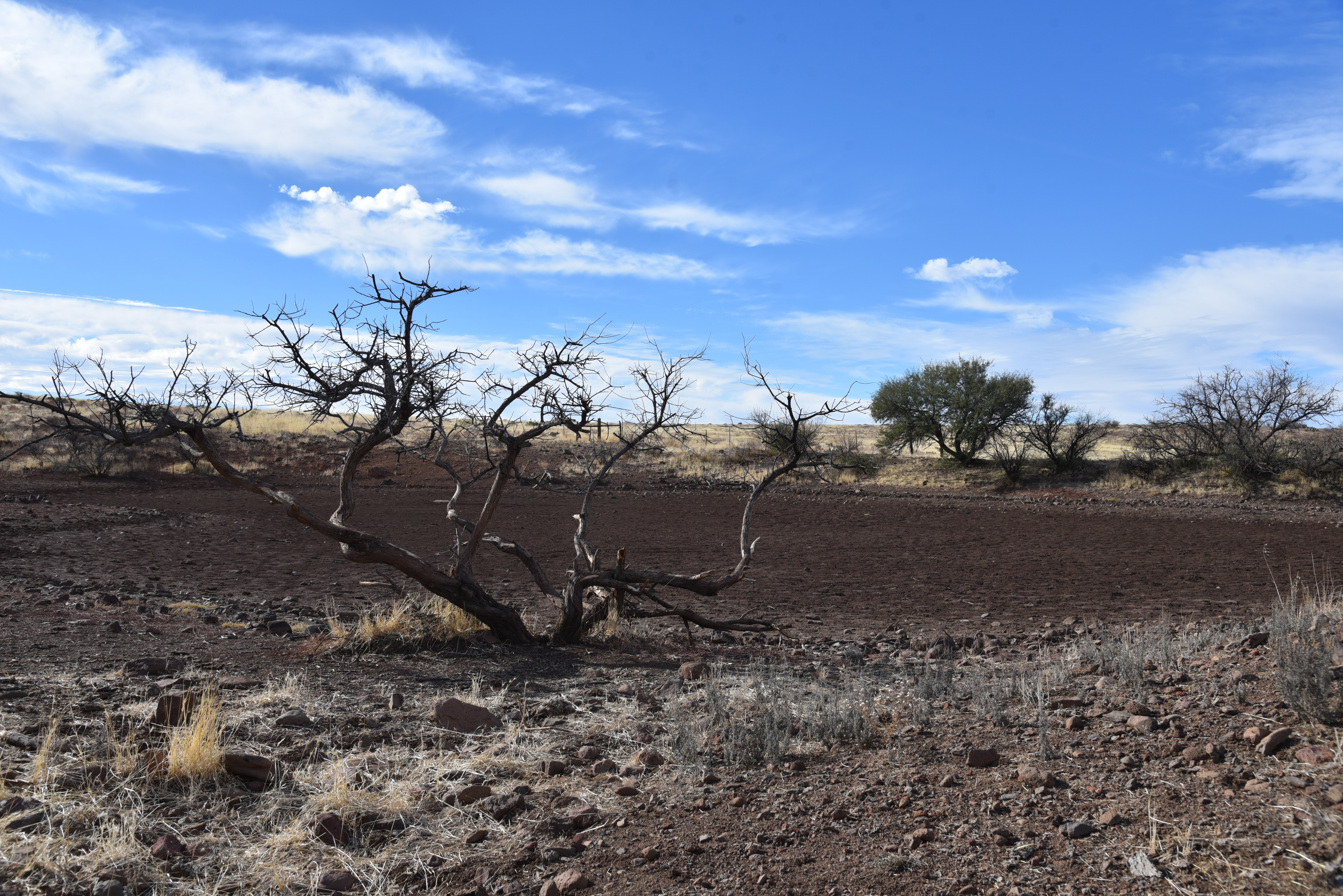 Arizona Hiking: Heifer Pasture