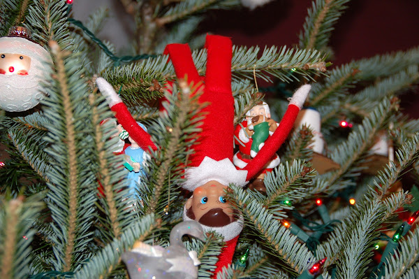 The Elf on the Shelf (L'Elfe sur l'étagère)