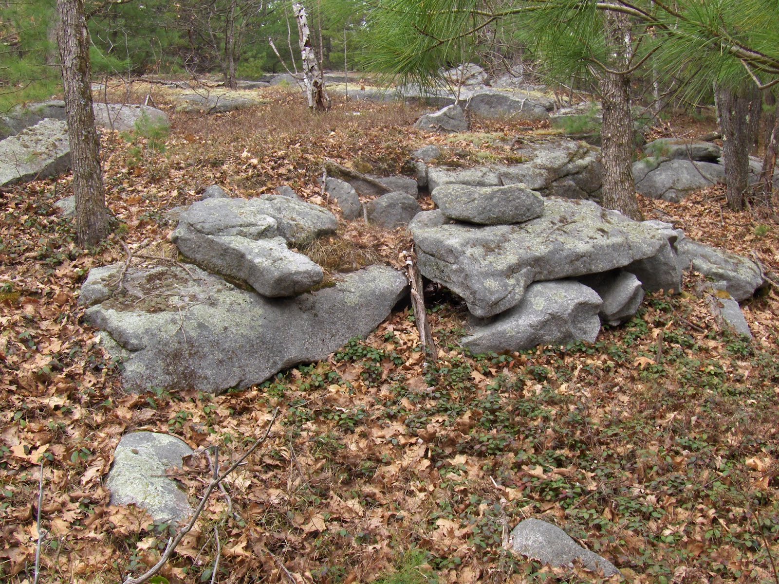 Rock Piles: Some scenes on top of Flat Rock Hill, Fitchburg