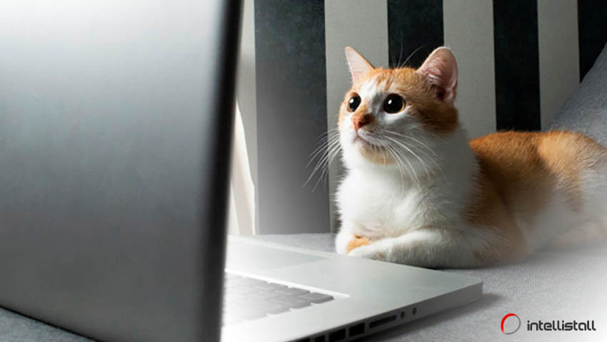 How To Write An Awesome Blog Post