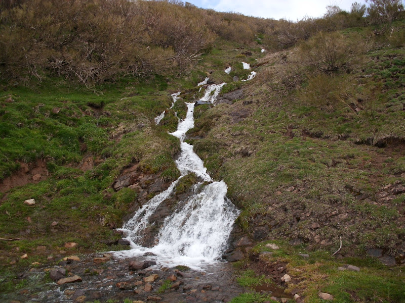 TINEO EN VERTICAL: junio 2012