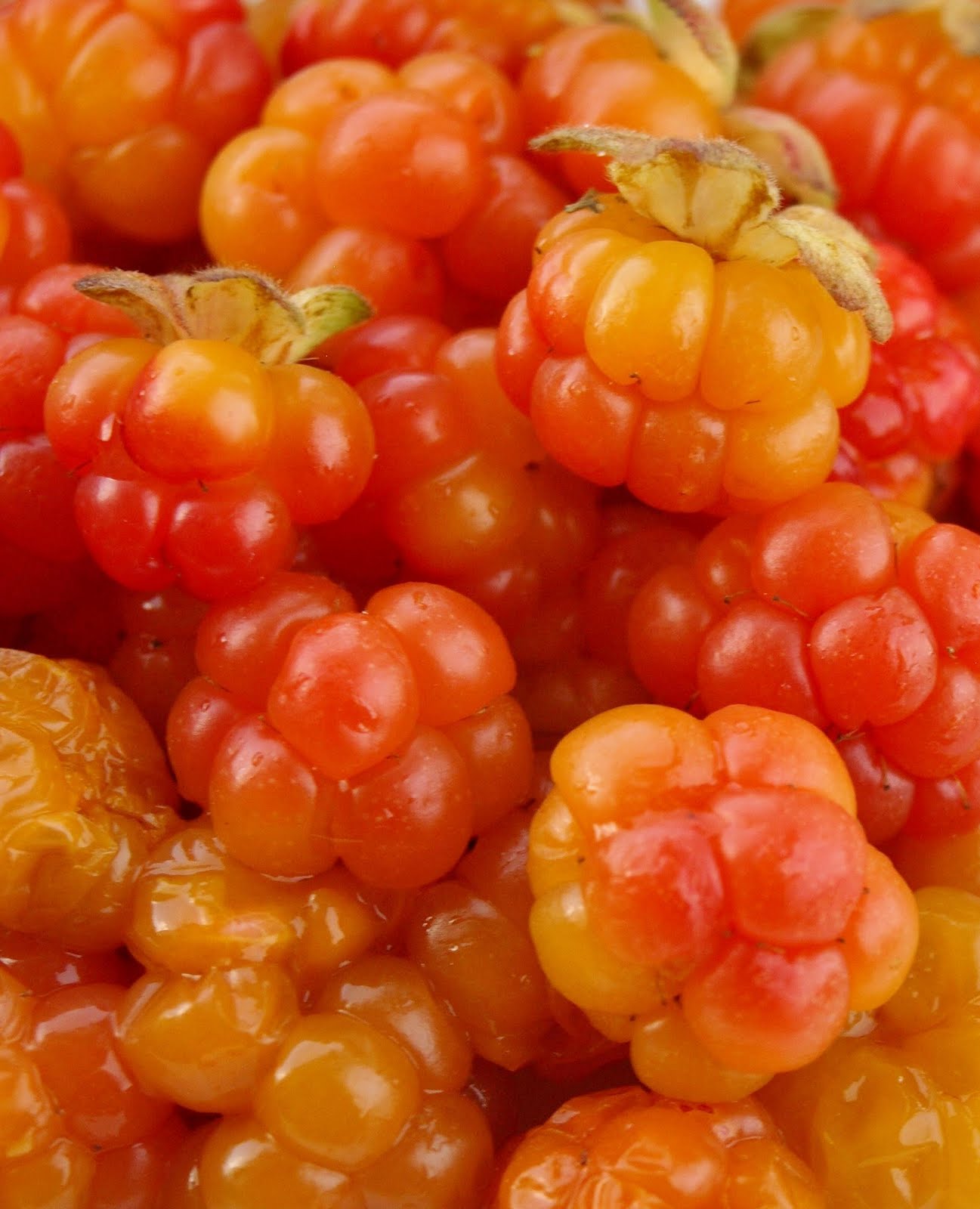 Minu tegemistest köögis: Murakad, mustikad, vaarikad ja kaneelirullid