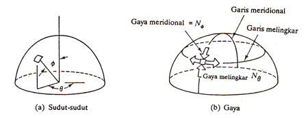 Struktur Cangkang - Bijeh Team