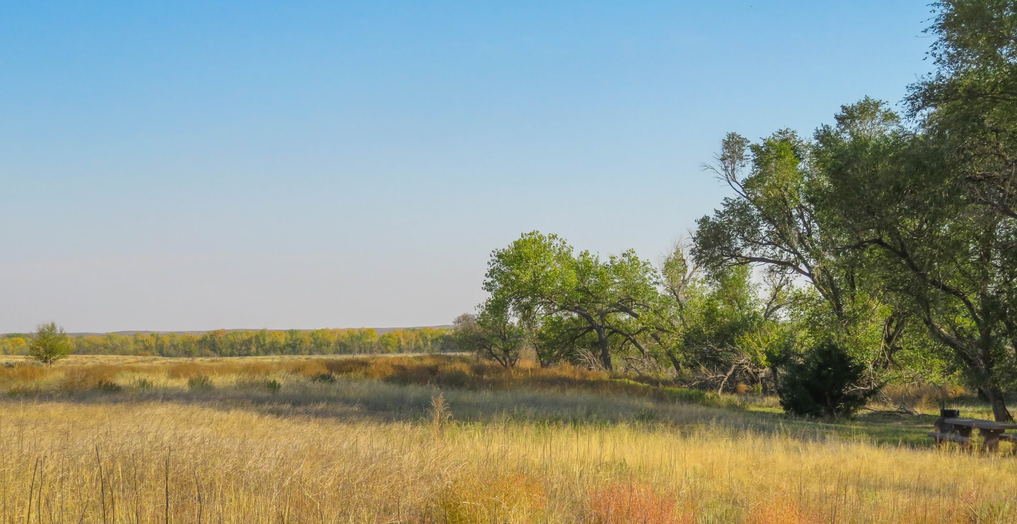 Cannundrums: Cimarron National Grassland