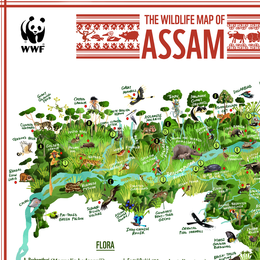 Green Humour: Biodiversity Map of Assam
