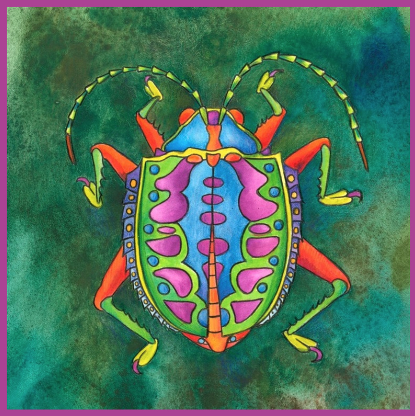 Draw the Beauty of Nature with Mindy Lighthipe: Contemporary Colorful ...