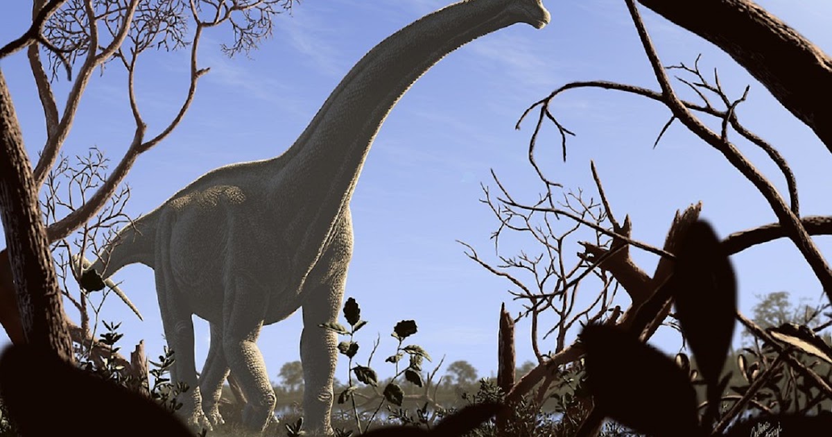 The Magic cafe: Зауроподы (Sauropodae)