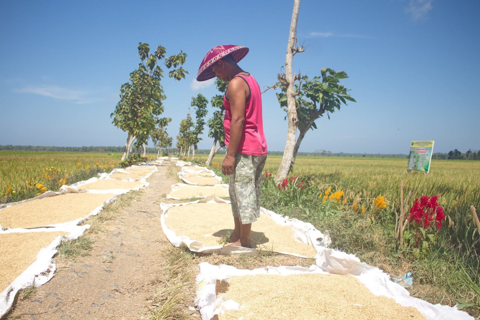 Caping Topi Petani Batik Titik Kerajinan Bambu Anyaman