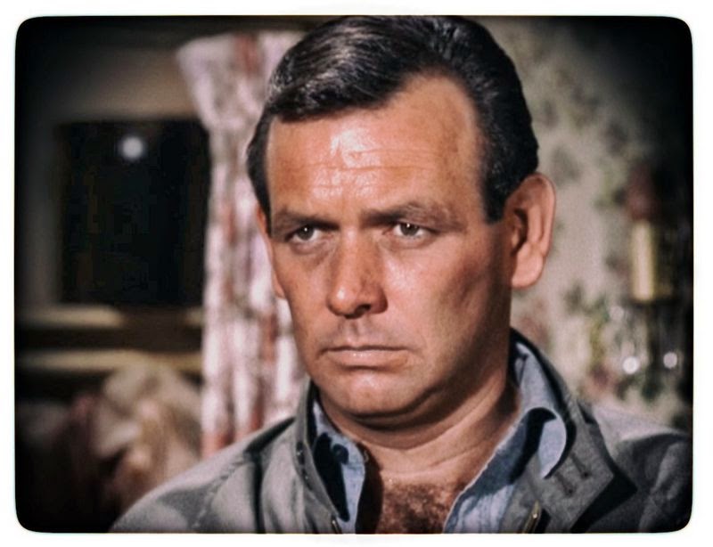 Los Angeles Morgue Files: "The Fugitive" Actor David Janssen 1980 ...