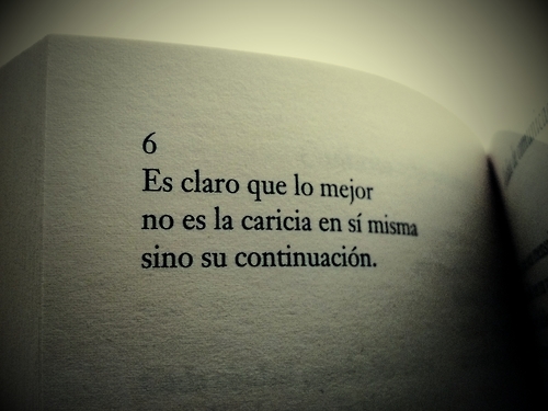 Tumblr flores con frases - Imagui