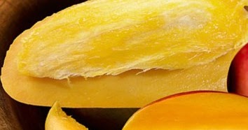 MANGO TREES: Animal feed from mango