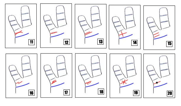 Interpretation Of 40 Types Of Marriage Lines With Images | The Line Of ...