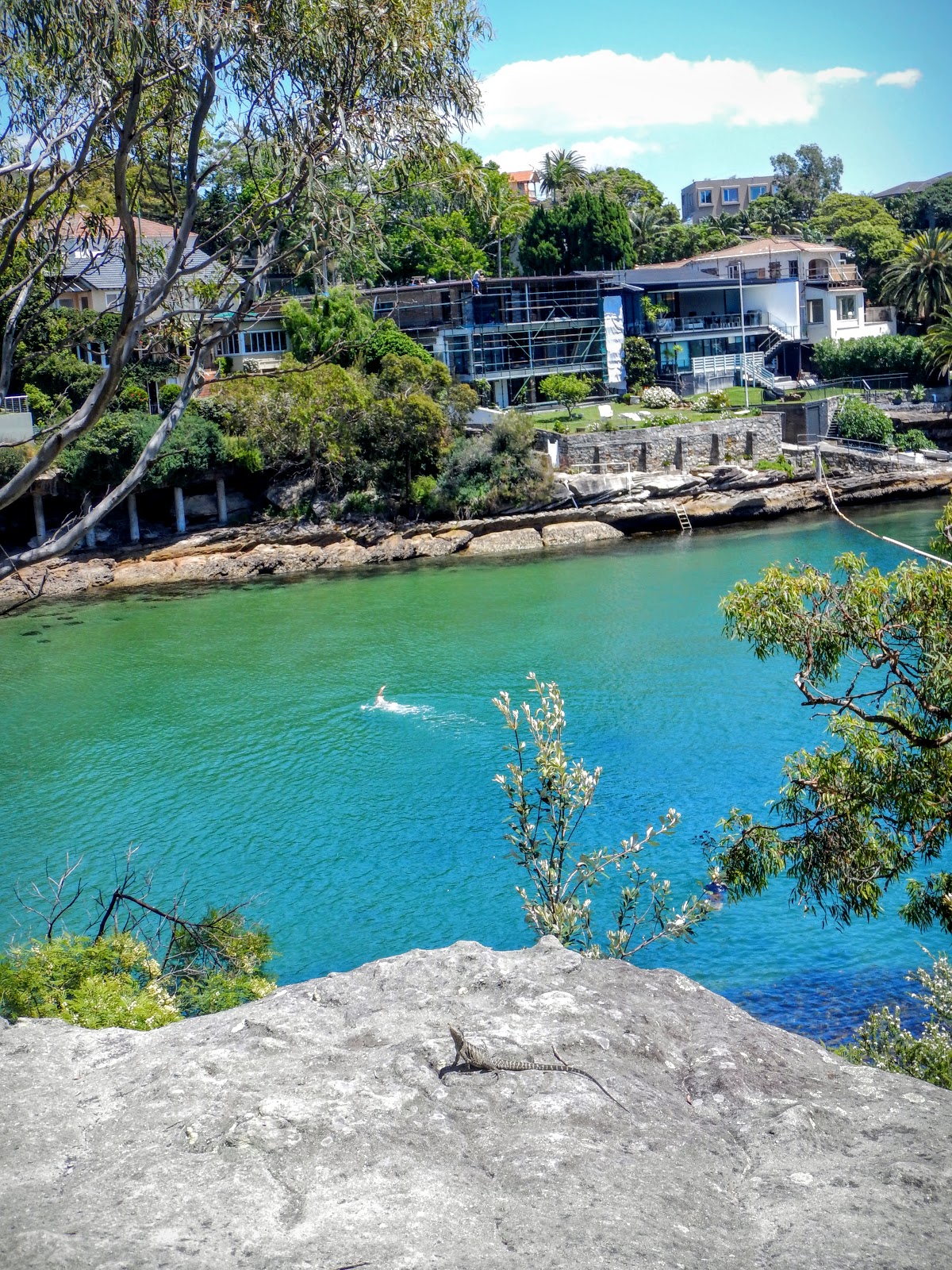 Sydney Snorkeling : Parsley Bay