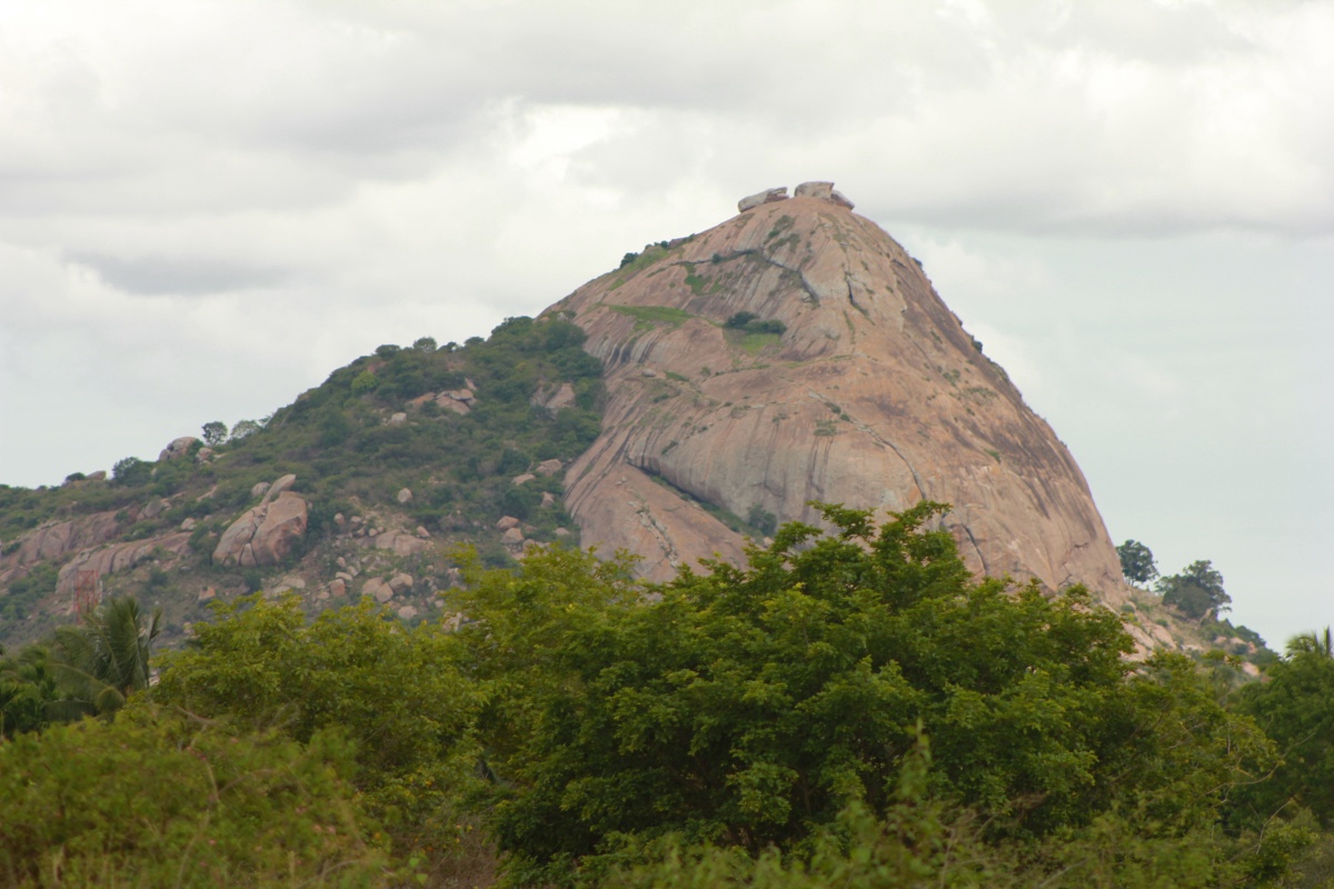 Journeys across Karnataka: Chikkanna & Thimmakka's Saalu-Maragalu