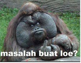 Kumpulan Comment Gambar FB: Kumpulan Gambar Lucu Untuk Komen Di Facebook