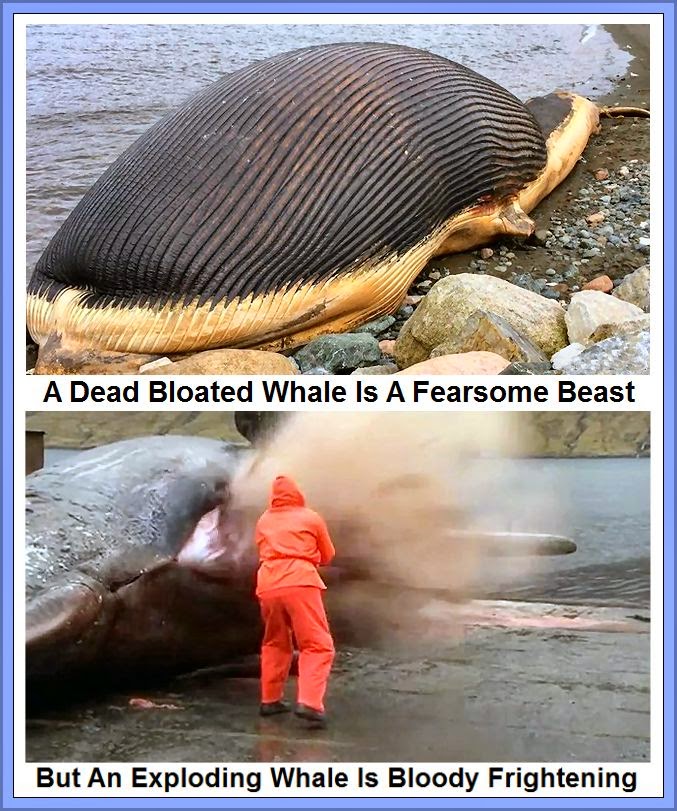 No PC Views: May 2014