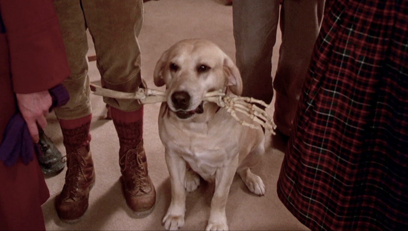 Cult Film Freak CHEVY CHASE AND MADOLYN SMITH STAR IN FUNNY FARM cult-film-freak-chevy-chase-and-madolyn-smith-star-in-funny-farm