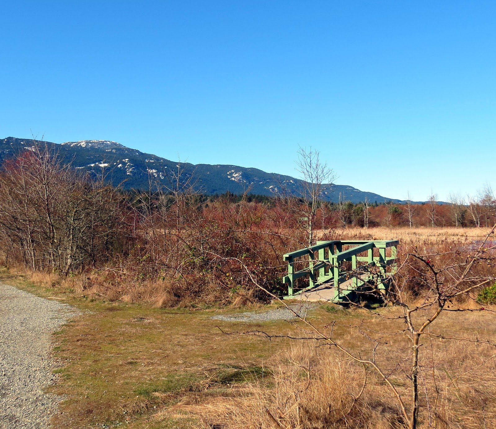 Everything Nanaimo: BUTTERTUBS MARSH: EARLY SPRING