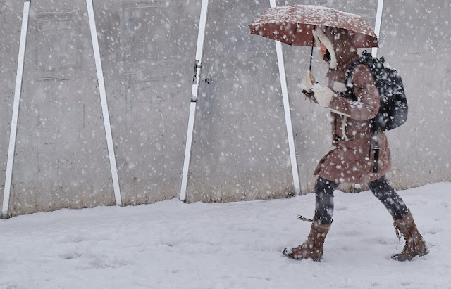 The Snowstorm: a real-life story - Reflections and Nature