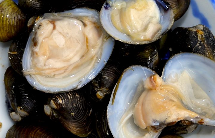 Bicara Mentari: ETAK SALAI POPULAR DI KELANTAN