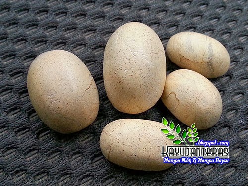Koleksi Teras Kayu dan Batu: :: Koleksi Terbaik dan Rare :: Permata ...