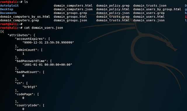 HackingDNA: Recon LDAP Information Using LDAPdomaindump