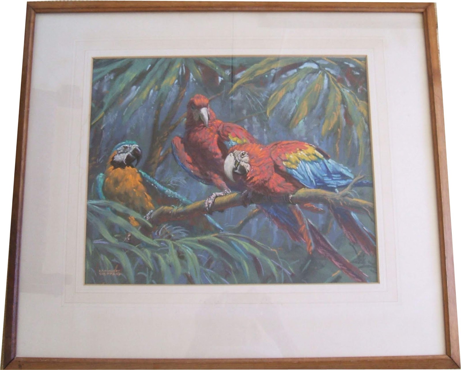 Raymond Sheppard Illustrator