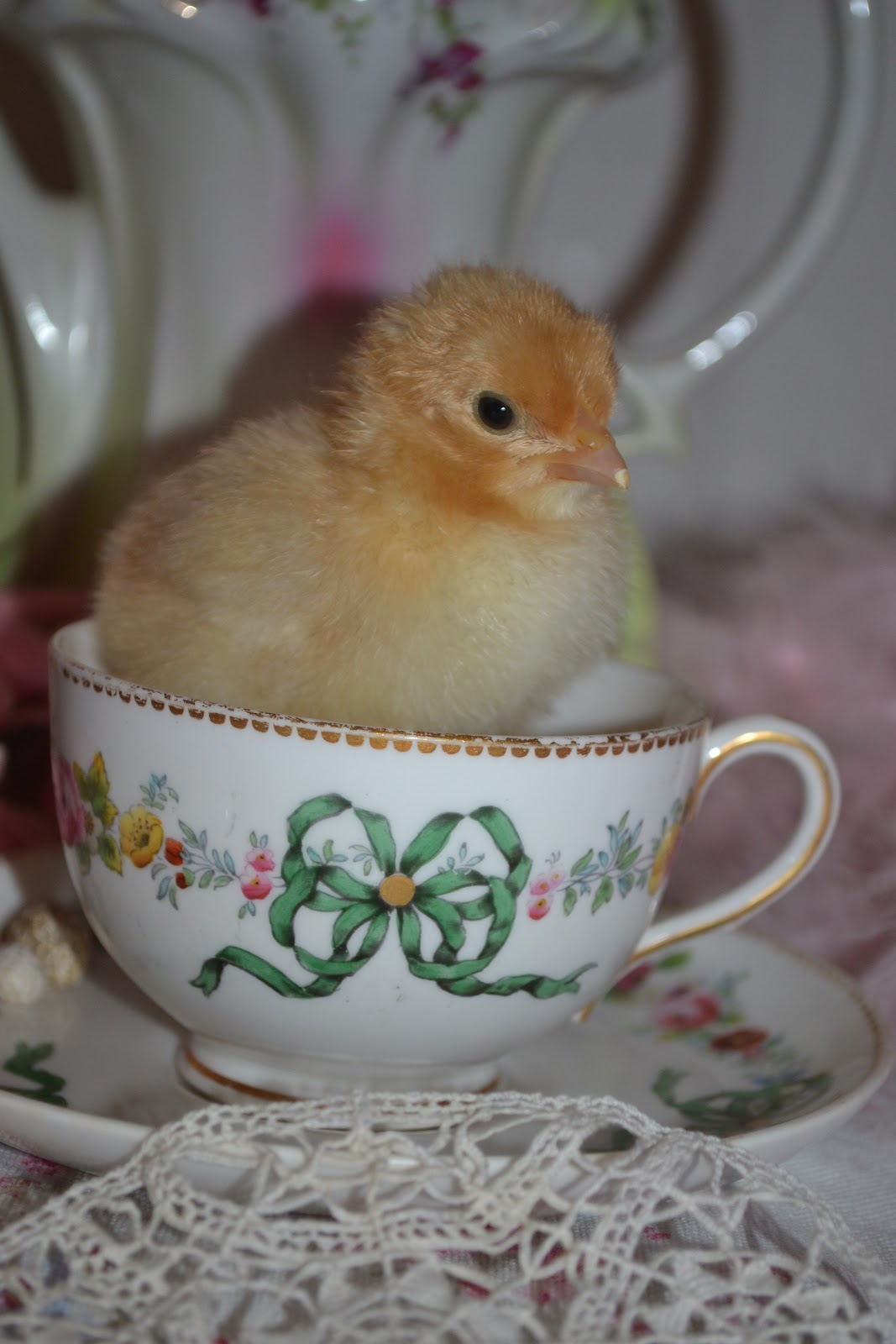 French Blue and Peachy Pink: A Chicken Goes To A Tea Party.....My ...