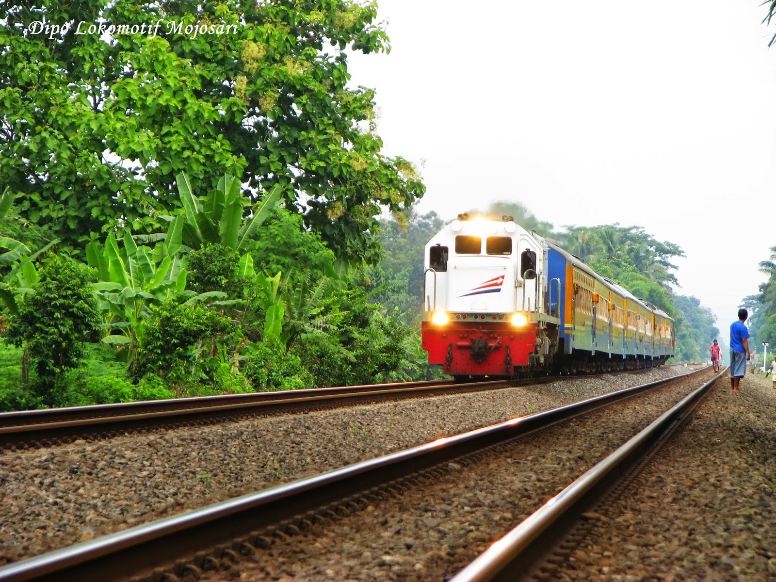 Kereta Api Indonesia: Rangkaian KA Logawa Melintas di Daerah Bragolan ...