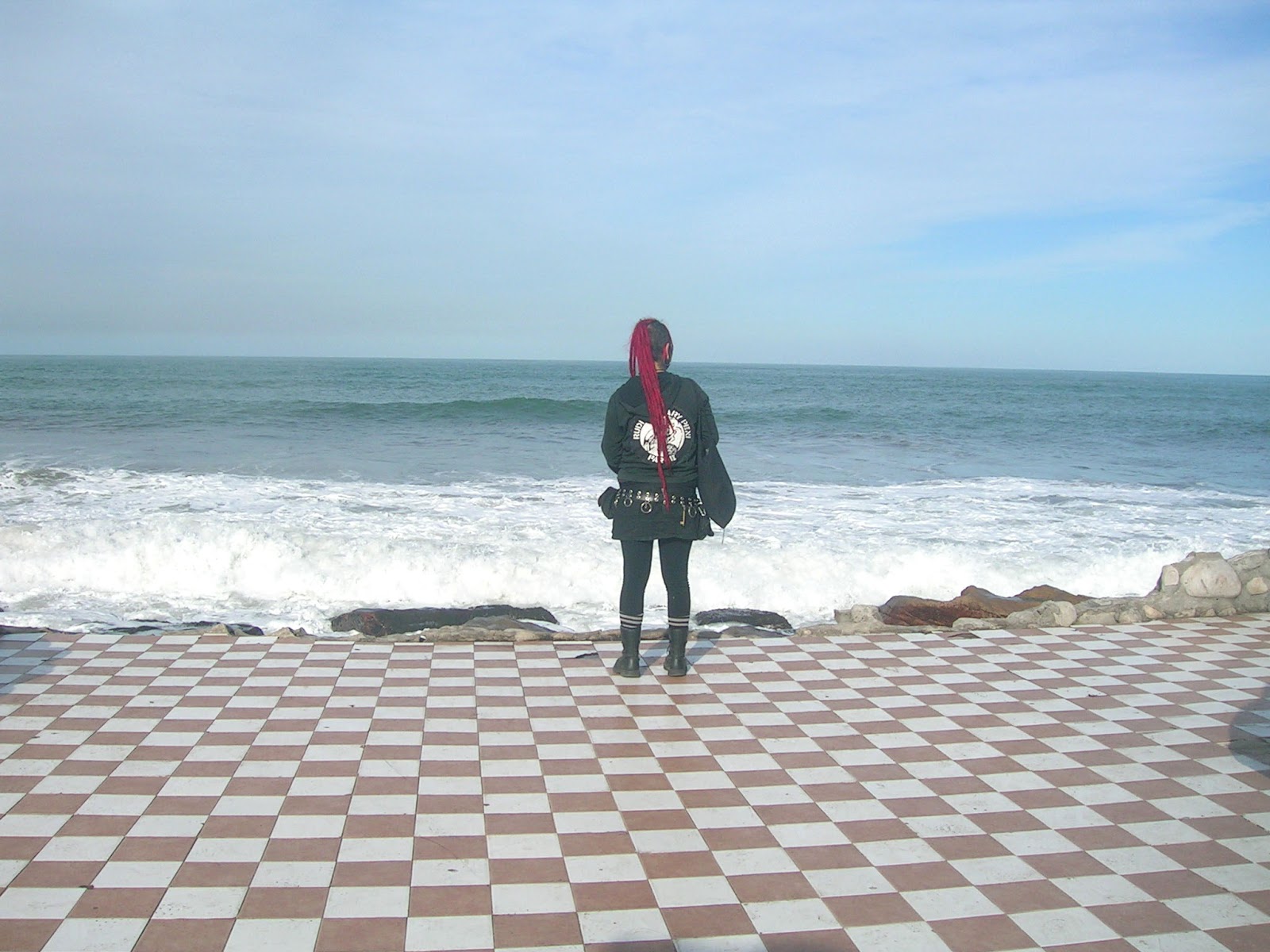 Dekadencia Humana punkzine: VIVER PARA LUTAR !!! dokumental anarcopunk ...