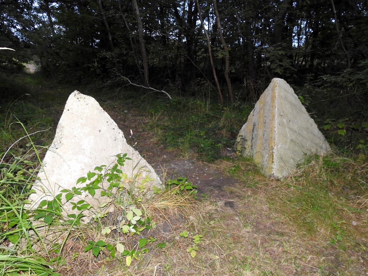jabolowaballada: Wrześniowa włóczęga cz.18 - Hel, plażowe i leśne ...