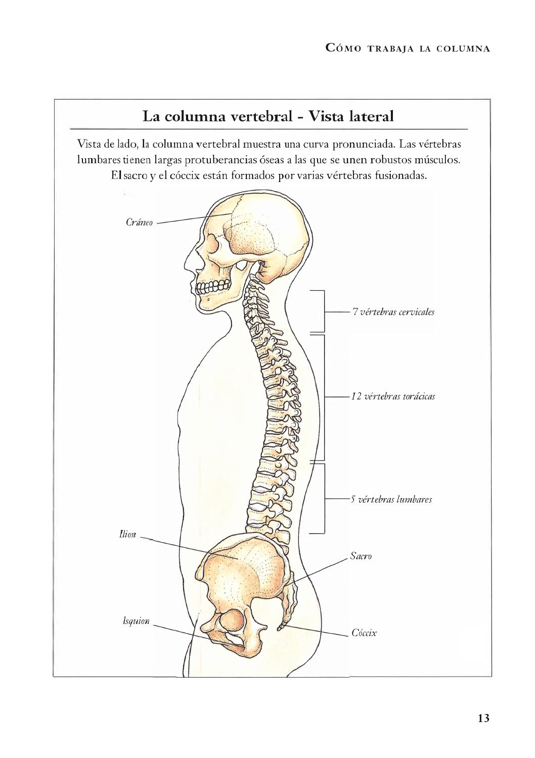 MyStretchingVital: ¿Qué es la Hiperflexibilidad? Hugo Cascia FUENTE ...