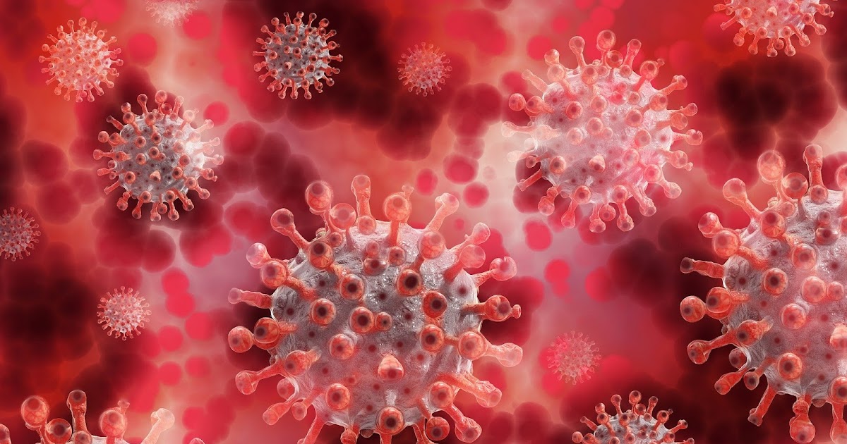 Evolução dos Vírus